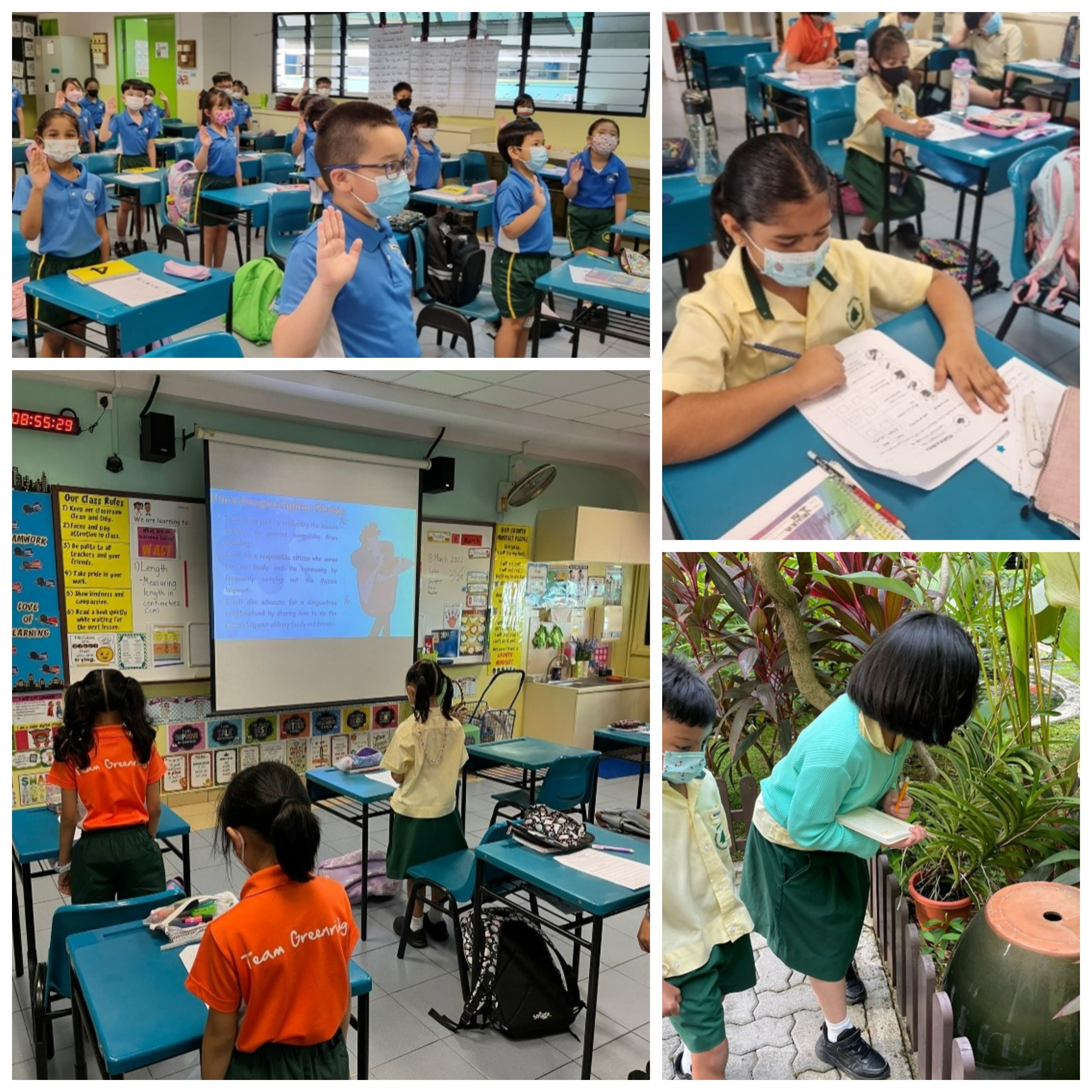 Learning for Life Programme (LLP)